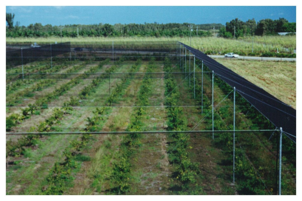 Crop Protection - Other Solutions - WeatherSolve Structures