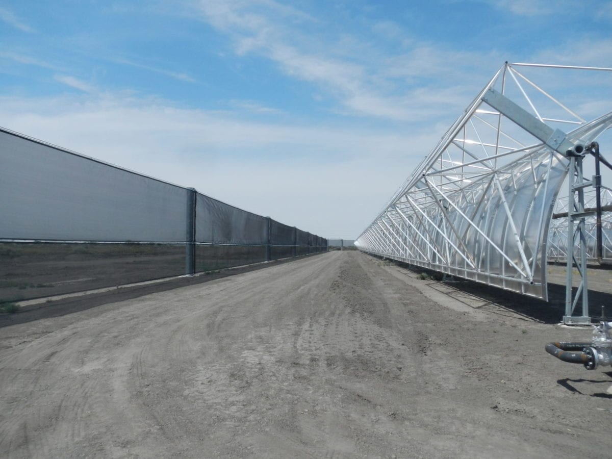 Wind Protection for Solar Field - WeatherSolve Structures
