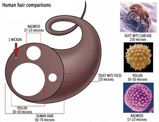 What is Dust? Understanding the Tiny Particles to Better Industrial ...